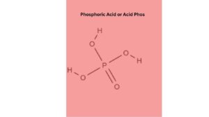 Homeopathic Medicine Phosphoric Acid or Acid Phos - Homeo Remedies